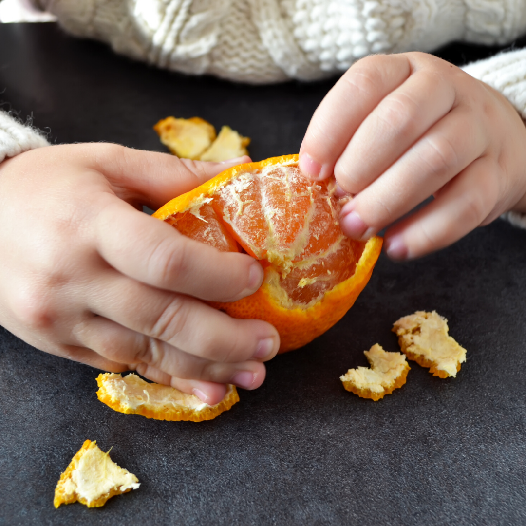 Back To School with Jaffa | Jaffa Fruit