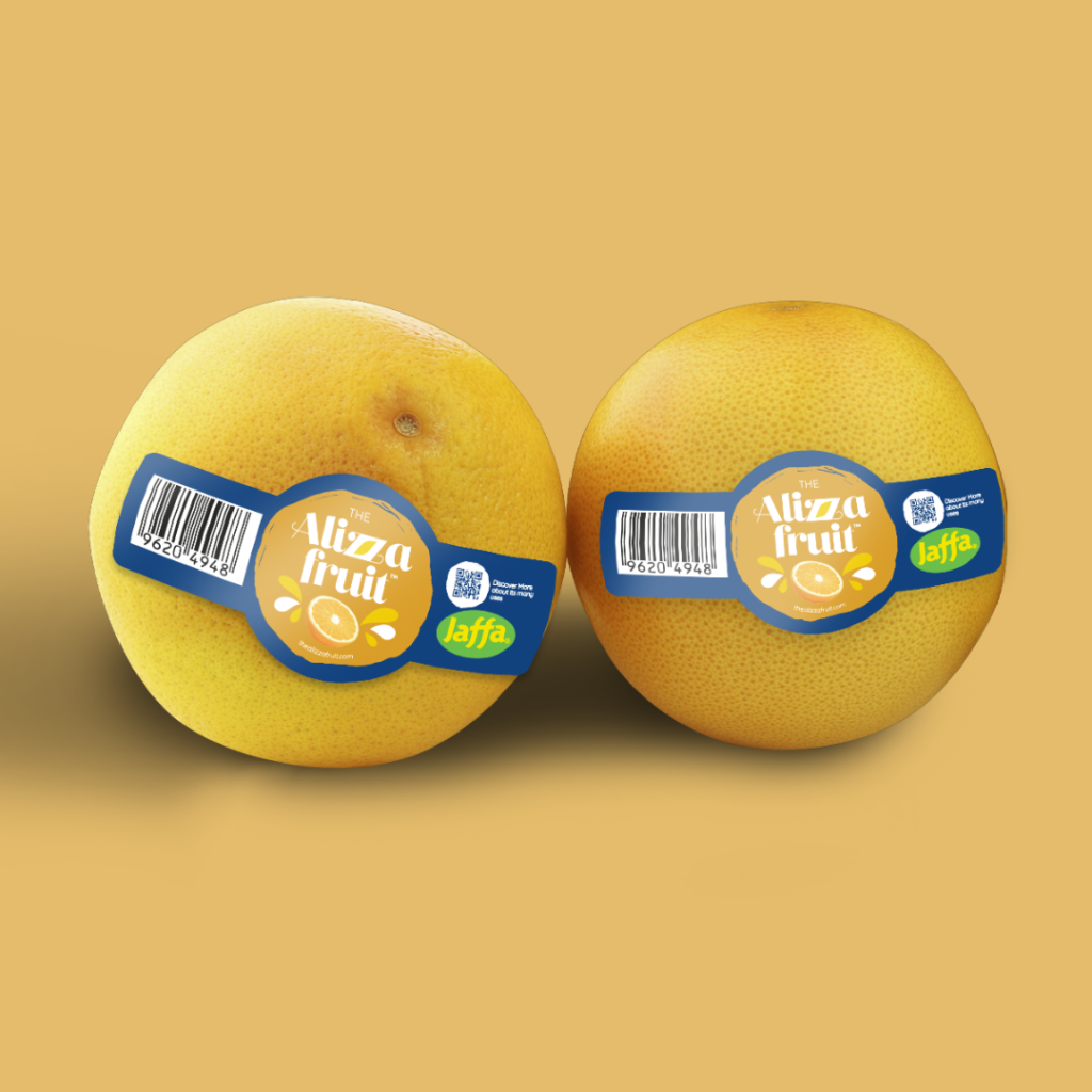 Jaffa Fruit | Quality and Freshness Guaranteed