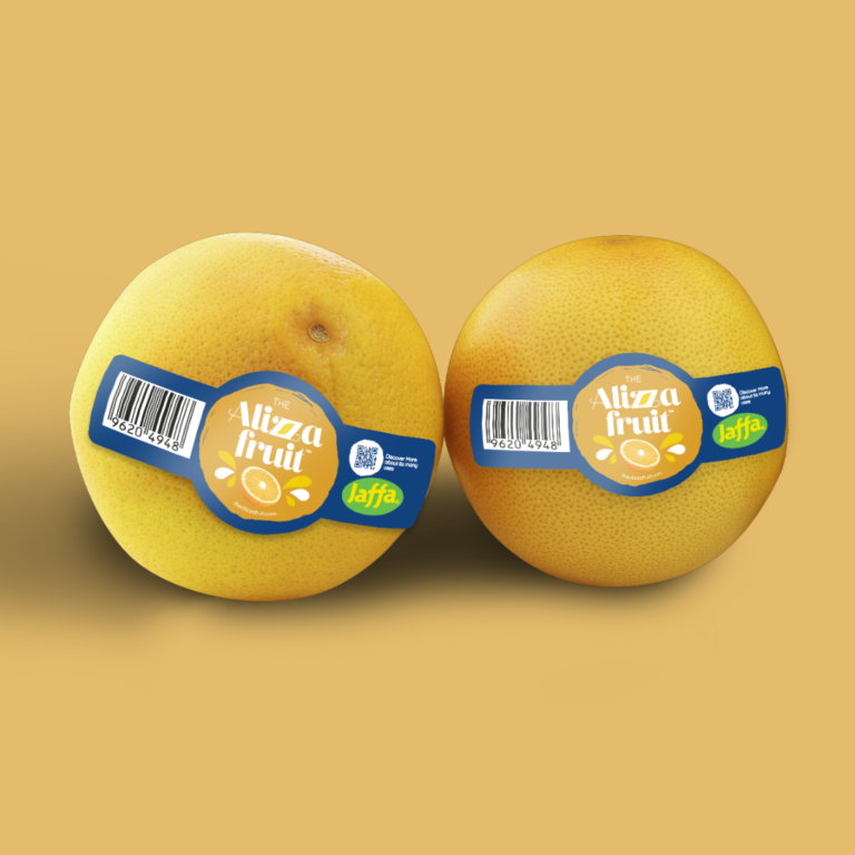 Jaffa Fruit | Quality and Freshness Guaranteed